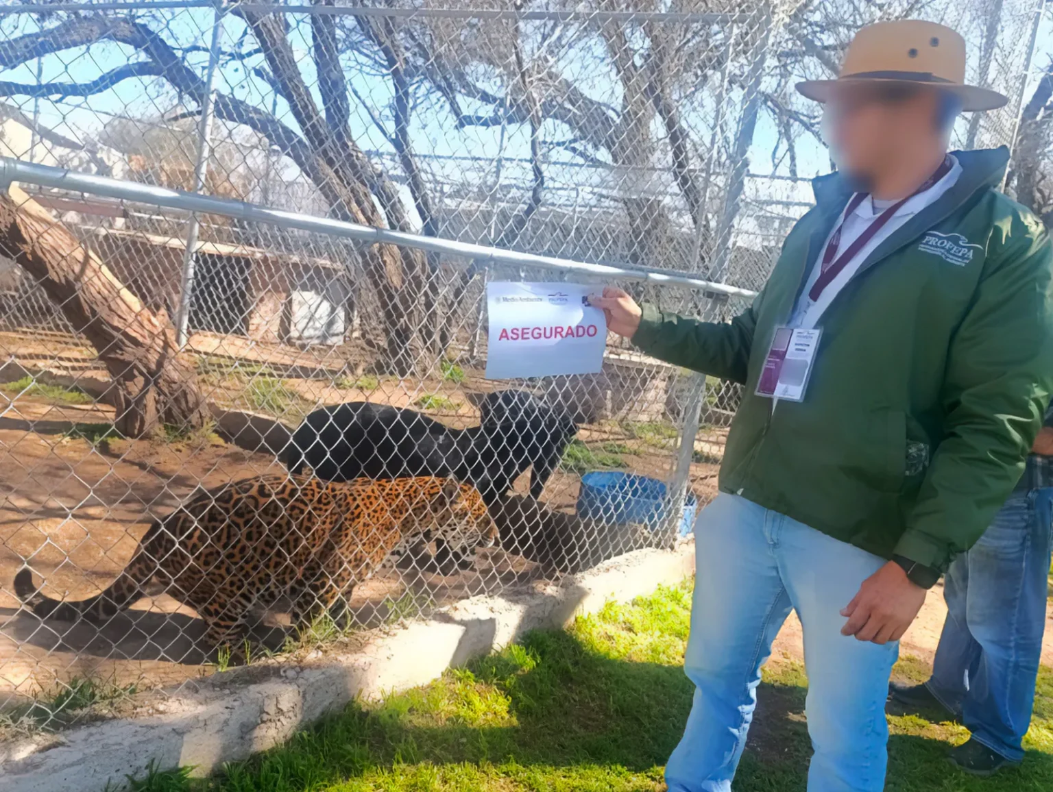 Asegura Profepa 44 ejemplares de fauna silvestre en predio turístico de ...